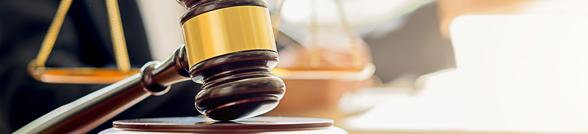 Barnets lov - Ny hovedlov trådt i kraft 1 jan. 2024 - Børneretskontoret